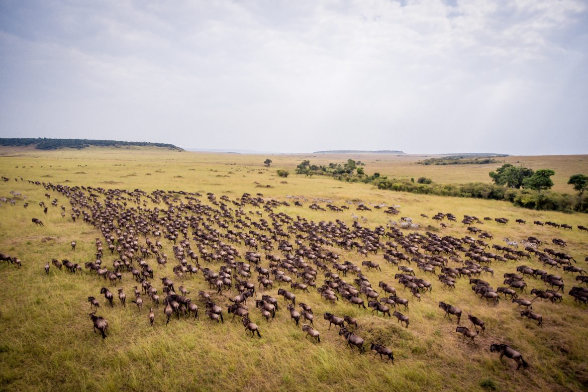 Honoring Mandela’s Legacy on the Centenary of His Birth - Travel ...