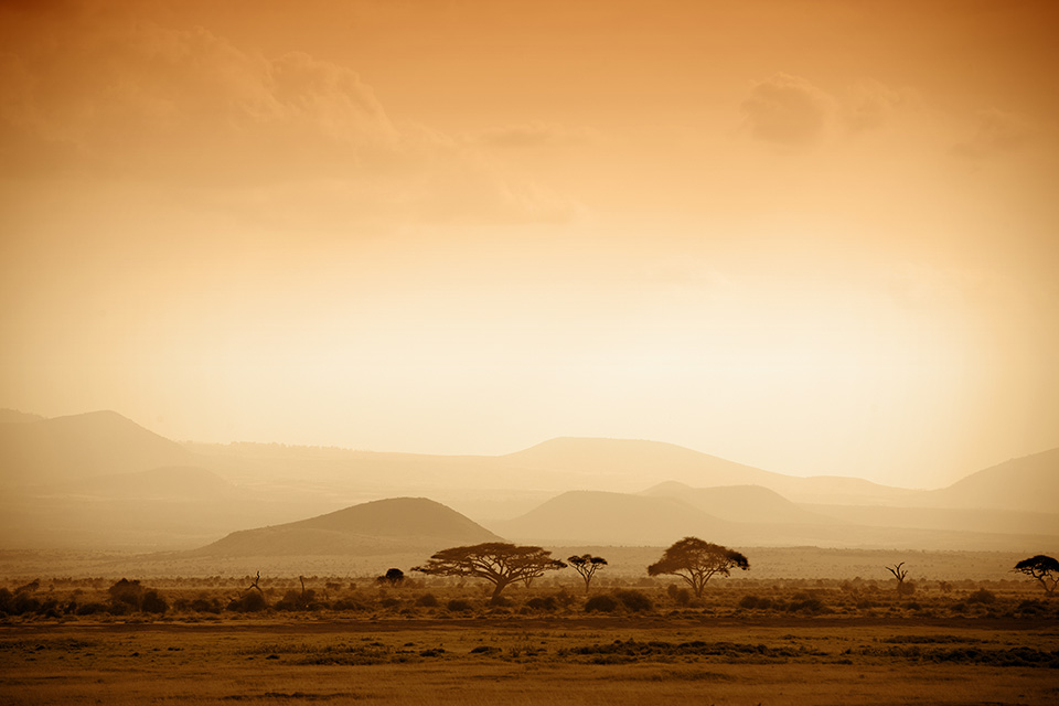 Book an Adventurous and Unforgettable Trip to Africa with African ...